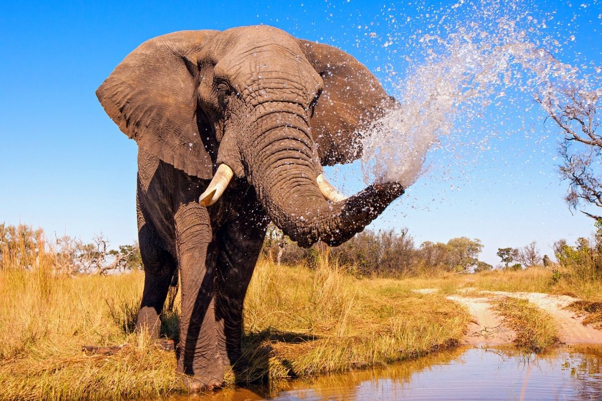 Top 8 Cultural Things to do in Nairobi & Where to Stay