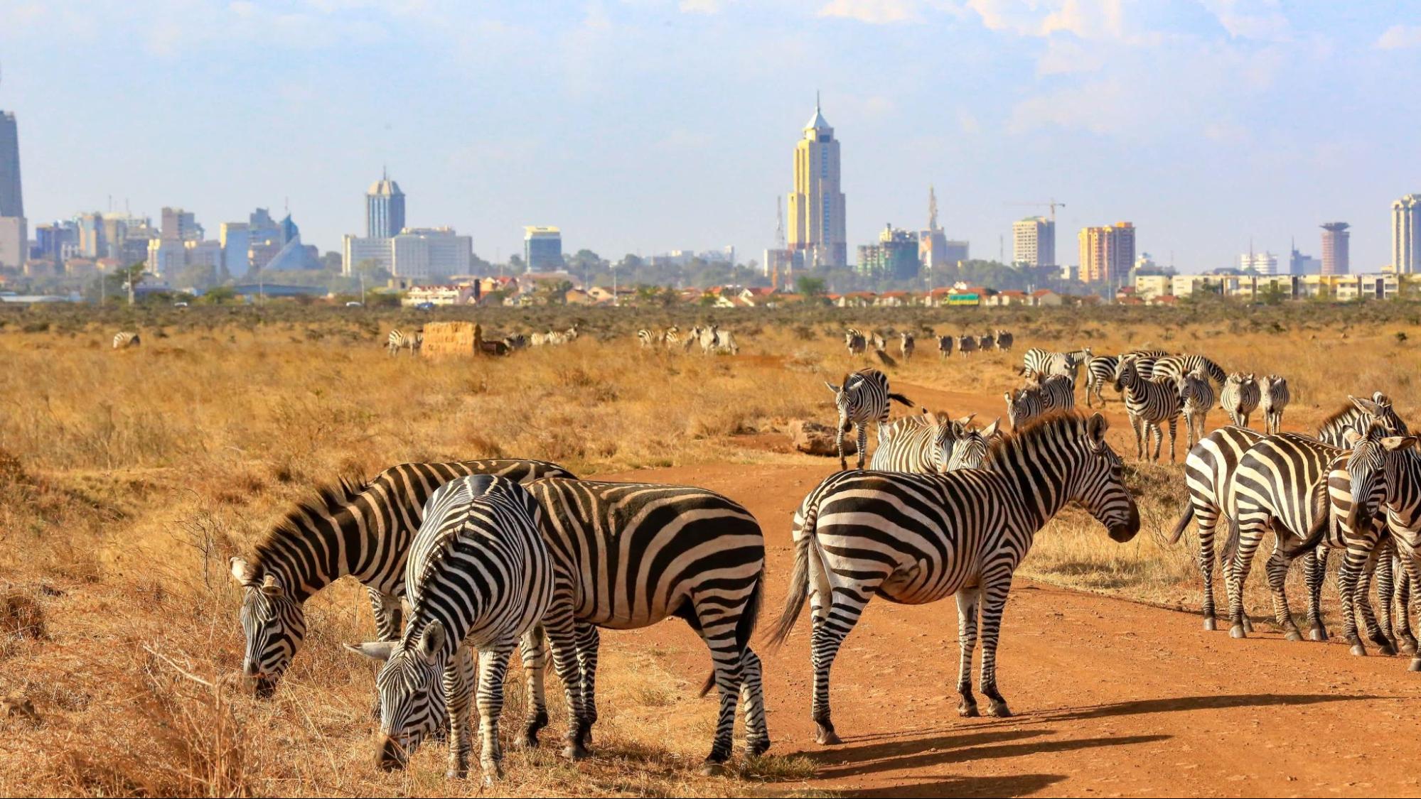 10 Unique Date Ideas in Nairobi & Stay at Emara Ole Sereni